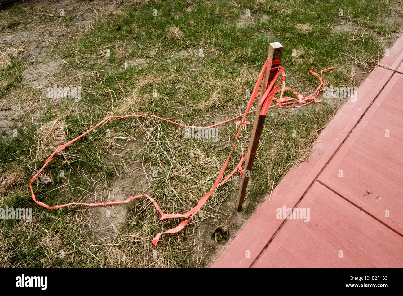 Wood stake stuck into the ground with a long red plastic ribbon ...