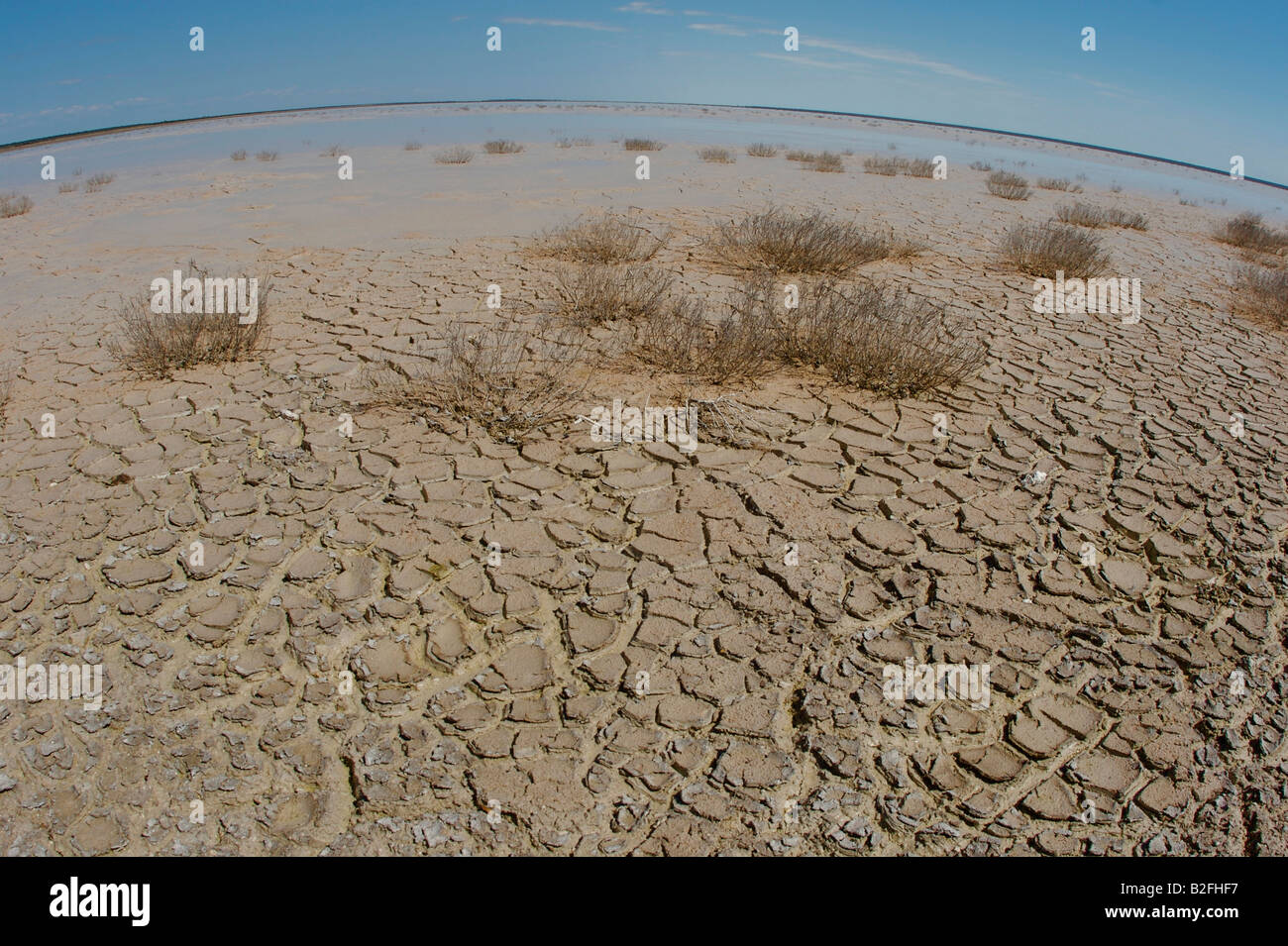 Drought africa hi-res stock photography and images - Alamy