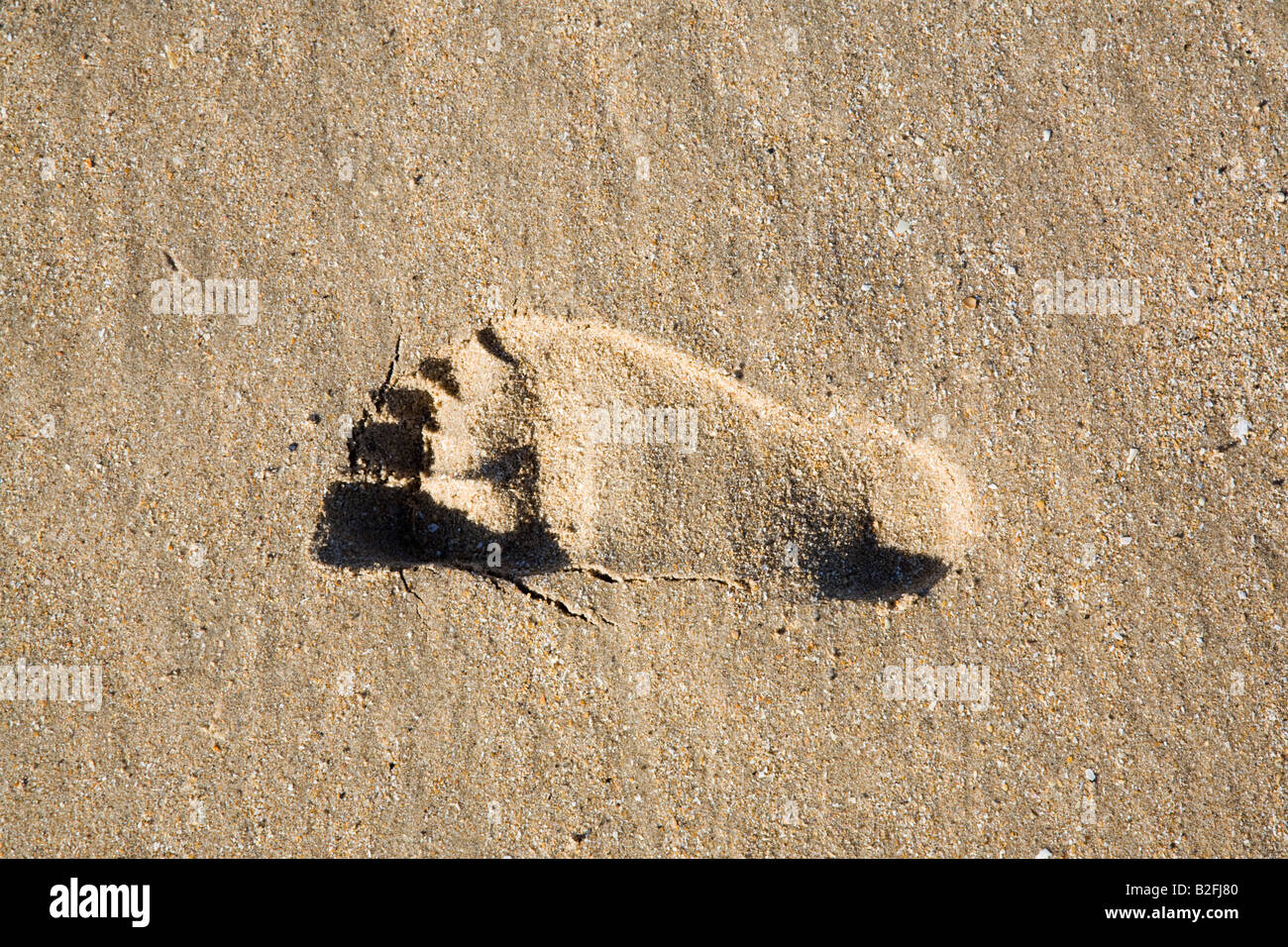 Top down of one human footprint in sand closeup from above Stock Photo ...