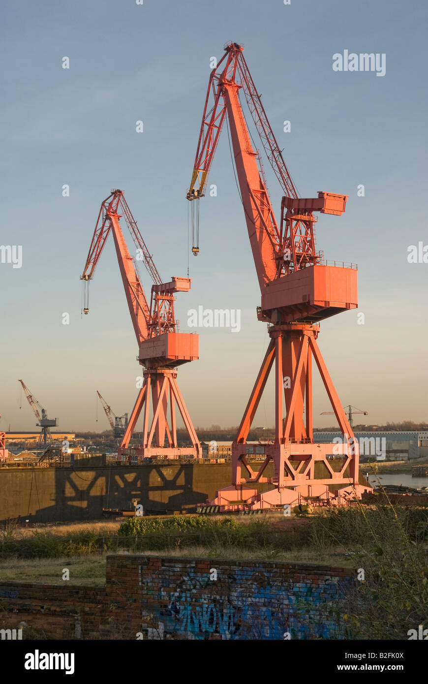 Swan hunter hi-res stock photography and images - Alamy