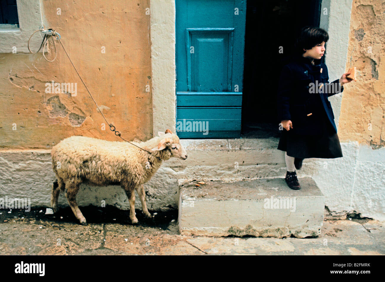 girl standing on the doorstep with tethered sheep Stock Photo - Alamy
