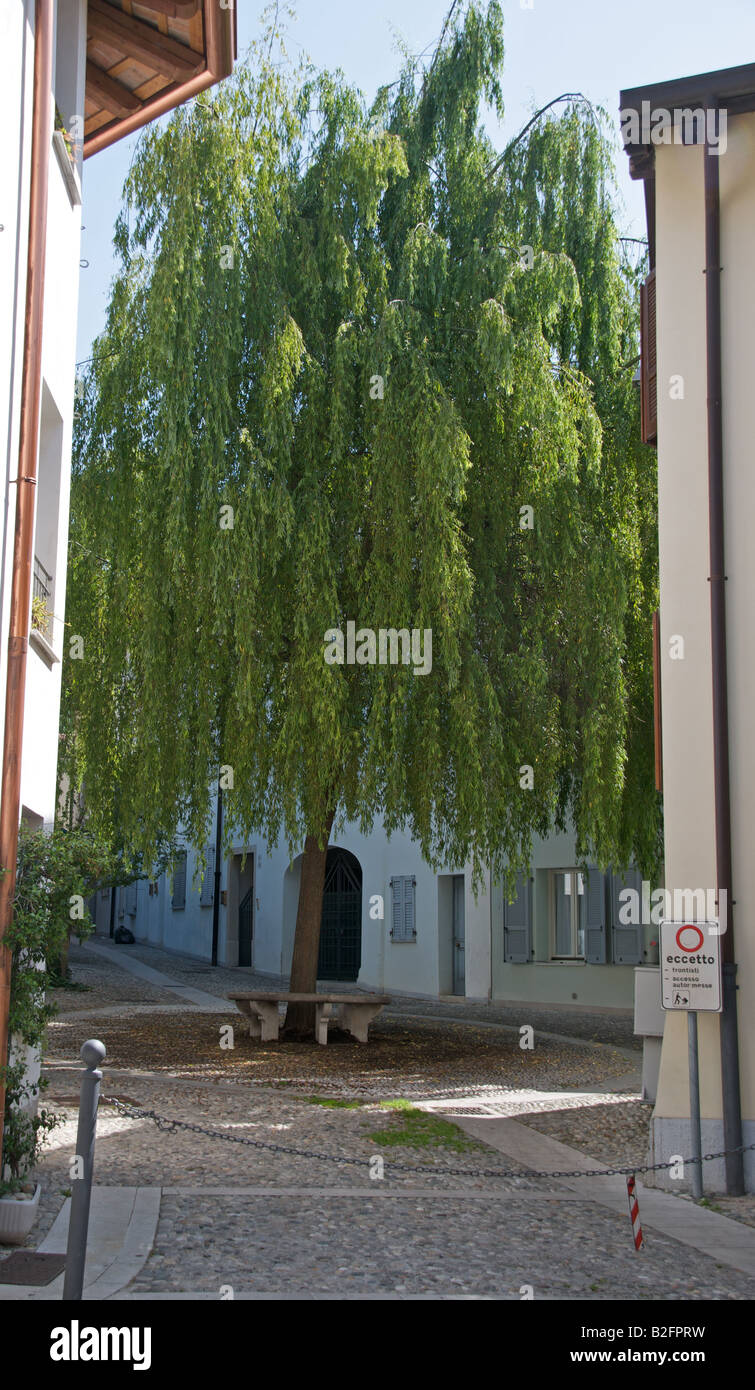 Shady courtyard in Cormons, Friuli-Venezia Giulia, Italy Stock Photo ...