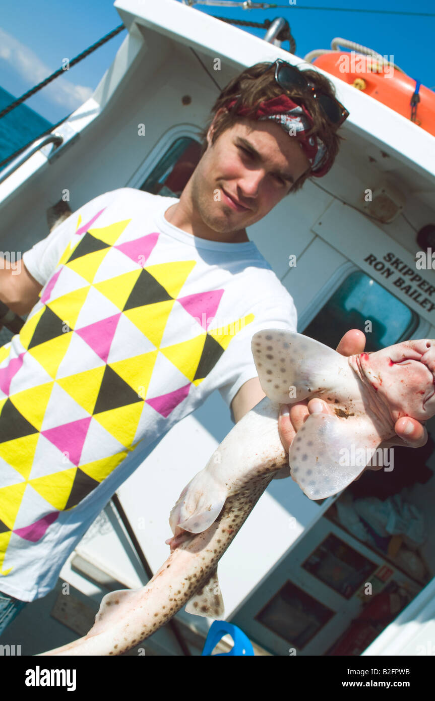 Gb dogfish hi-res stock photography and images - Alamy