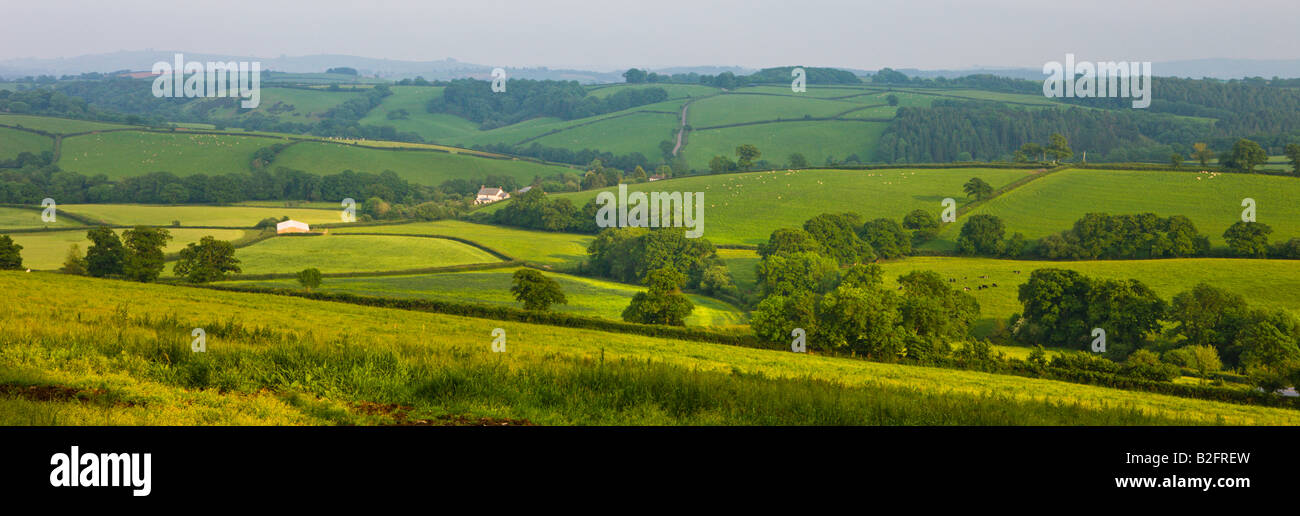 Rolling mid Devon landscape near Crediton Devon England Stock Photo - Alamy