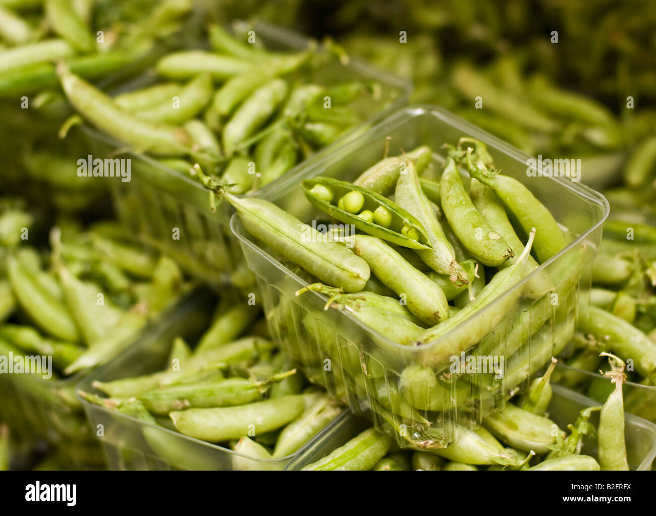 Organic sugar snap peas for sale at a farmers market Stock Photo - Alamy