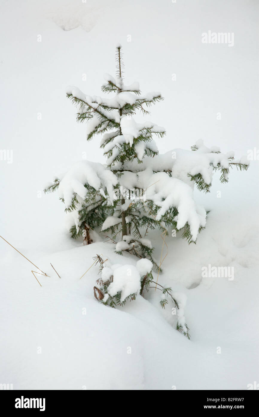 After winter hi-res stock photography and images - Alamy