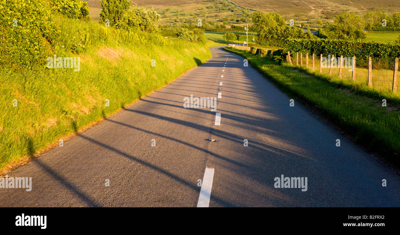 English Country Lane Summer High Resolution Stock Photography and ...