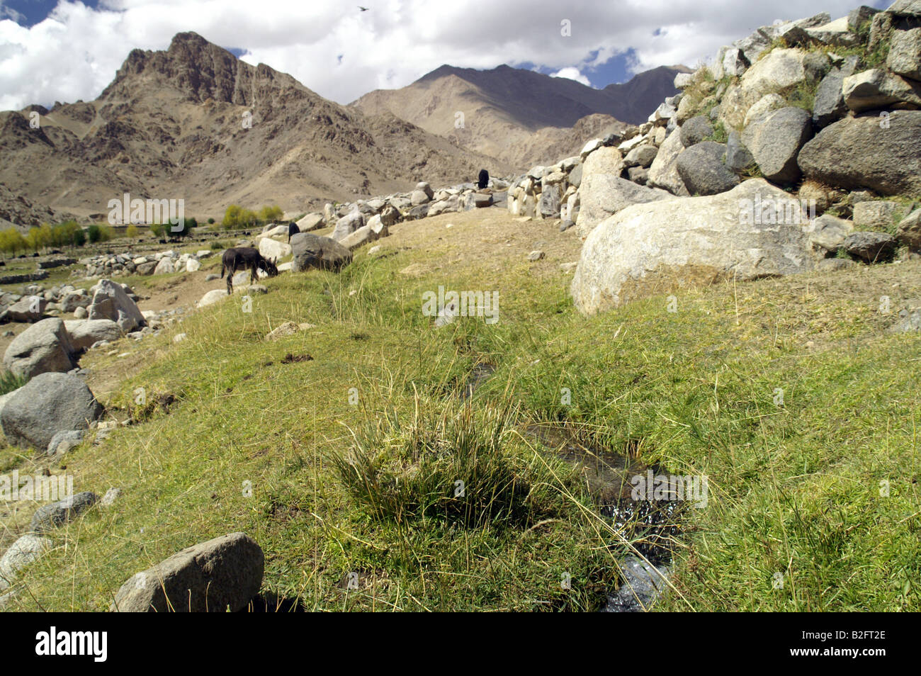 India Irrigation Channel High Resolution Stock Photography and Images ...