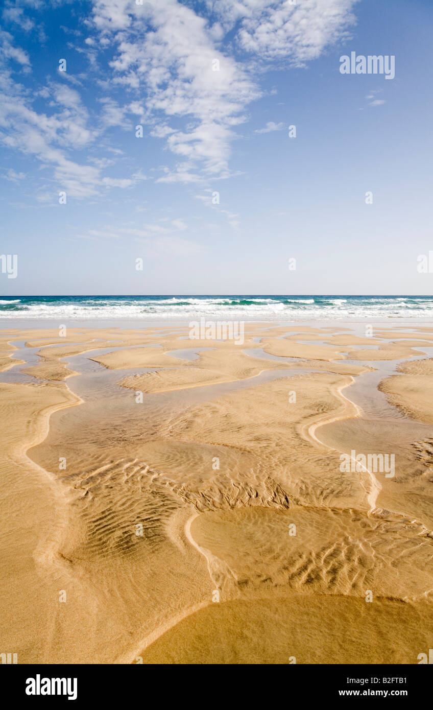Low tide at beach Stock Photo - Alamy