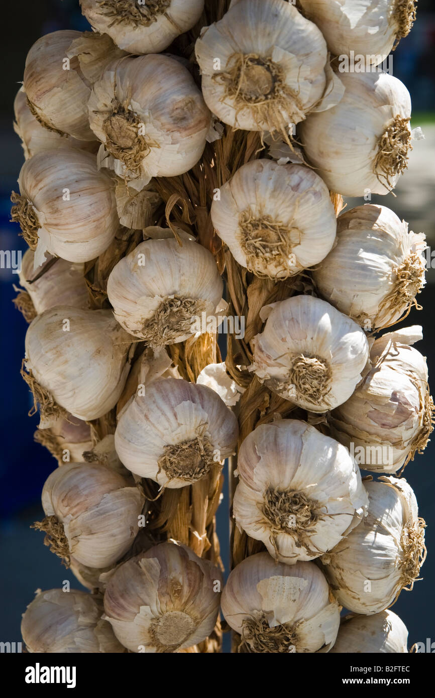 Tied garlic bulbs close up Stock Photo - Alamy