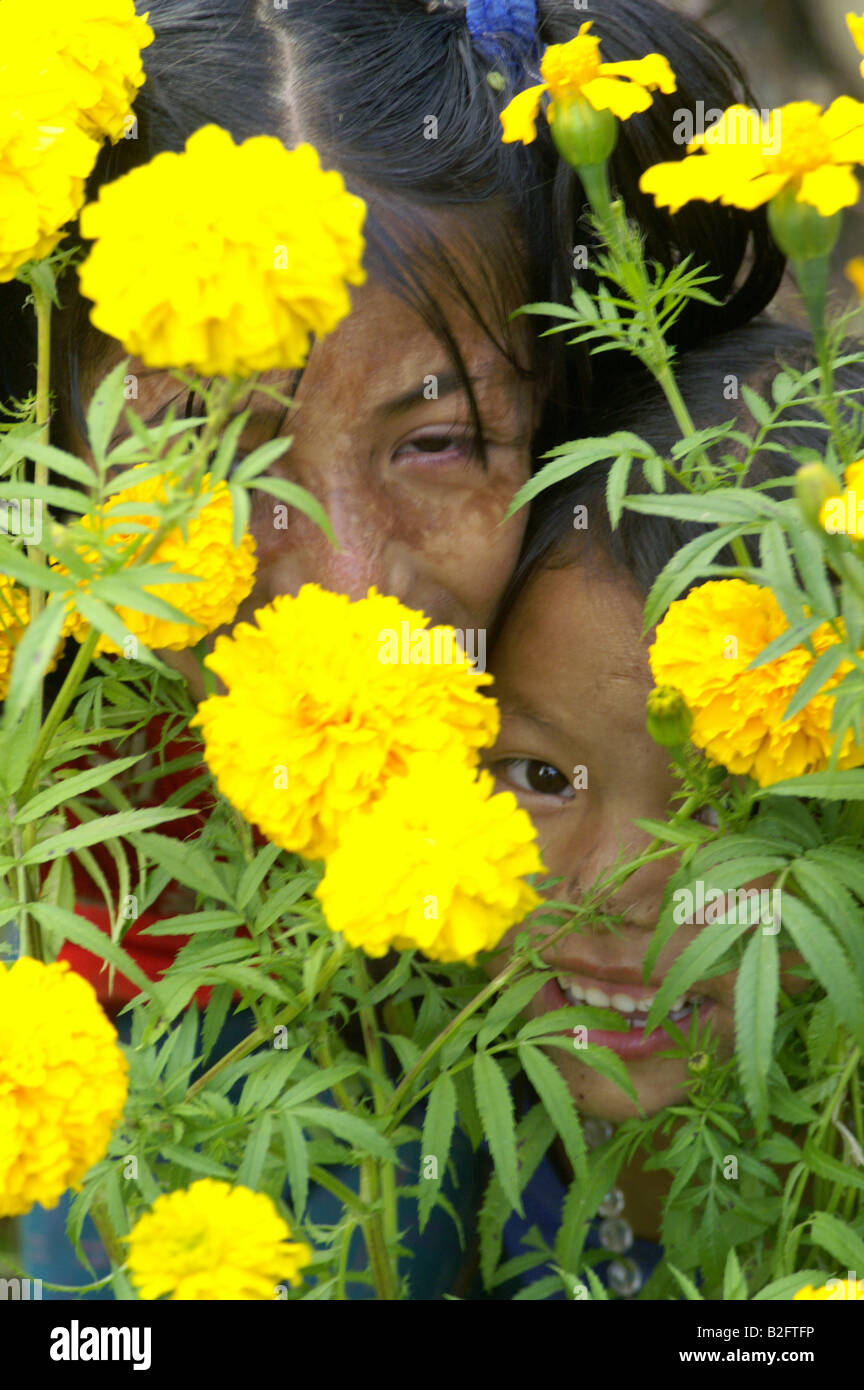 Two indian girls young sisters hidden behind yellow flower garden ...