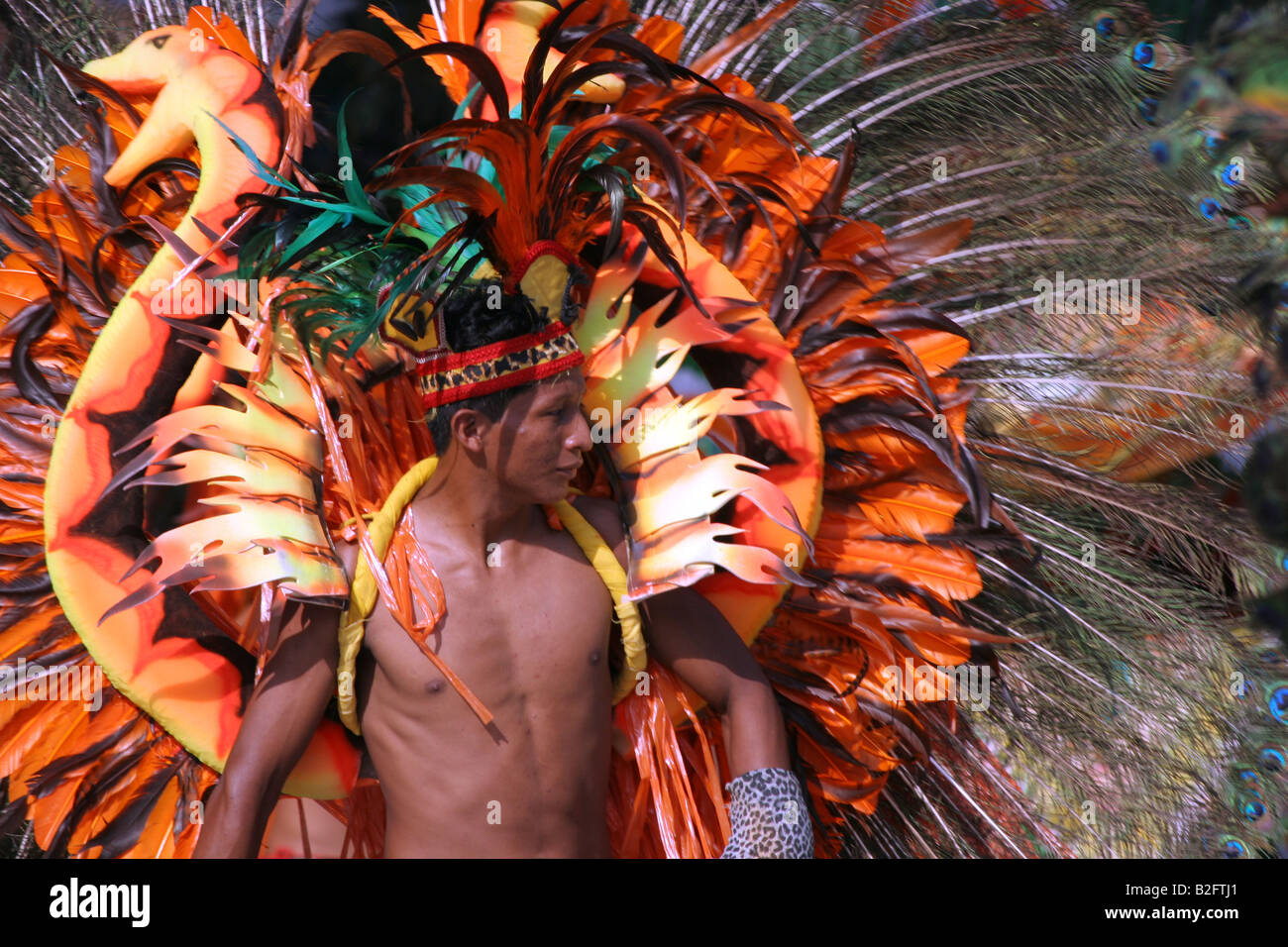 Boi Bumba Parintins Carnival Stock Photos & Boi Bumba Parintins ...