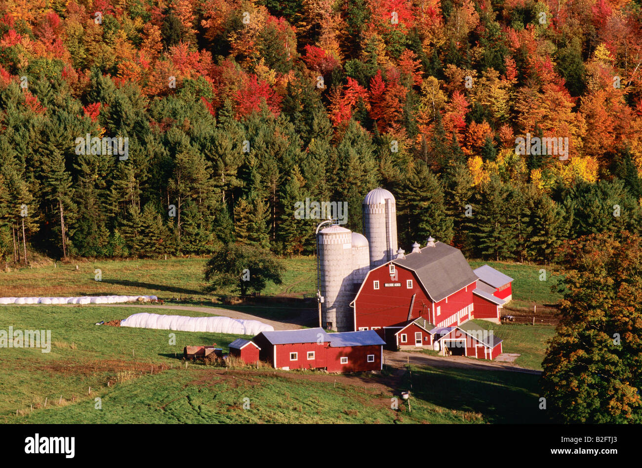 Northeast kingdom vermont autumn hi-res stock photography and images ...