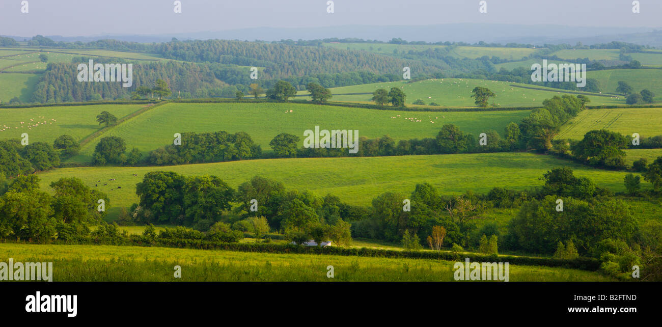 Rolling mid Devon landscape near Crediton Devon England Stock Photo - Alamy