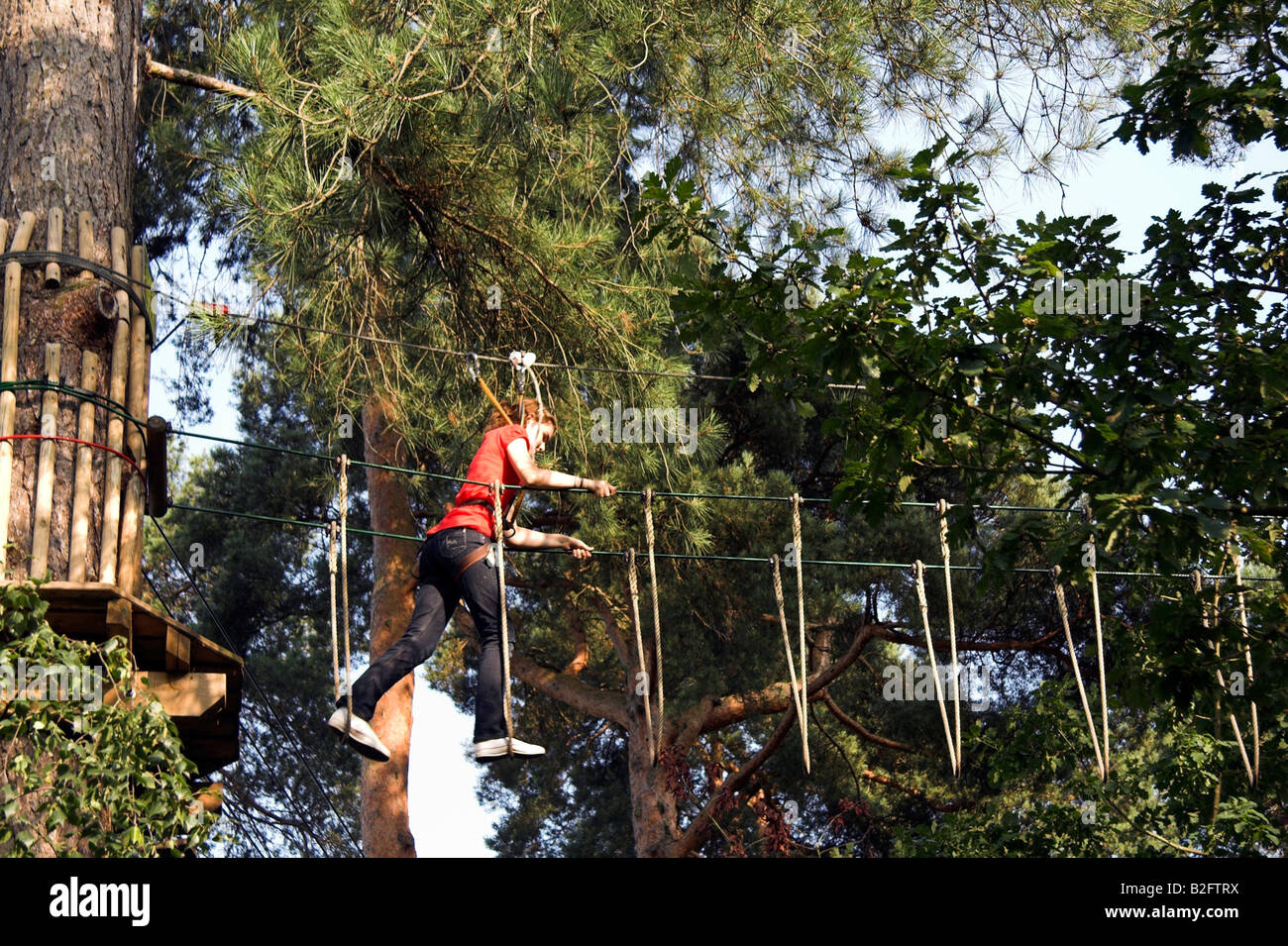 Delamere forest go ape hi-res stock photography and images - Alamy