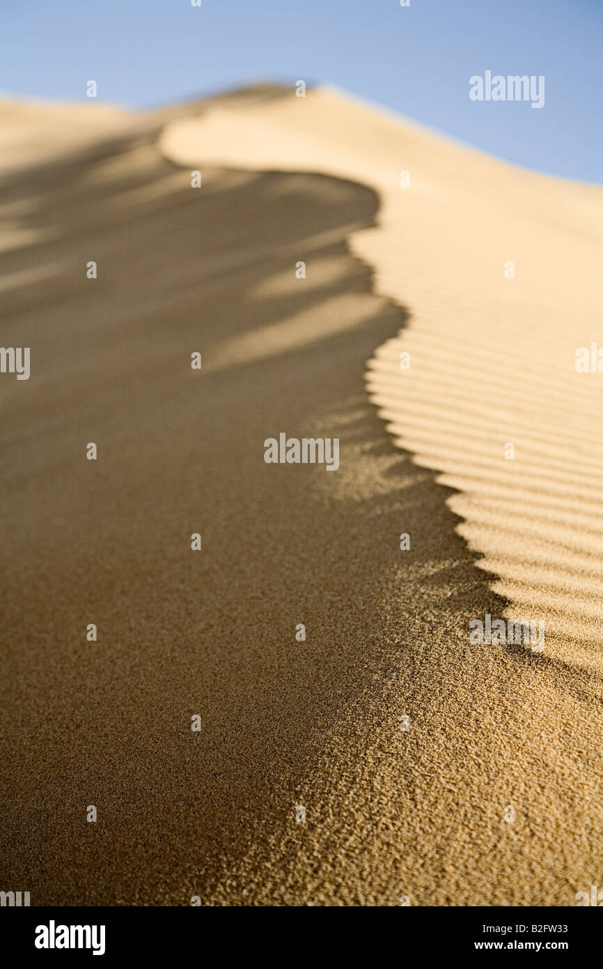 Moving sand desert wind hi-res stock photography and images - Alamy