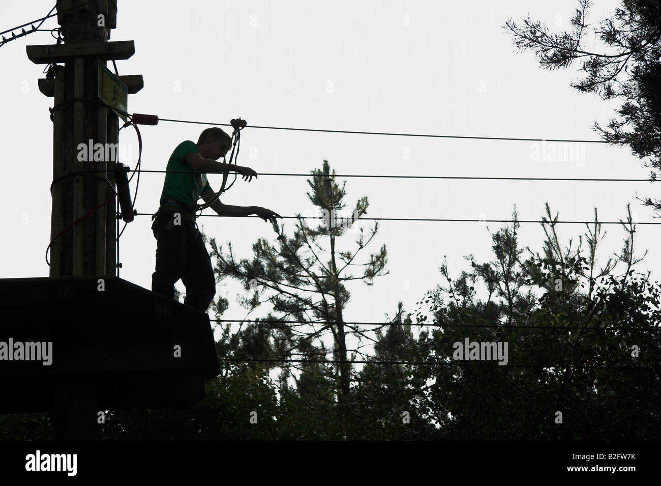 Man on a rope bridge, Go Ape Adventure Course, Delamere Forest, Linmere ...