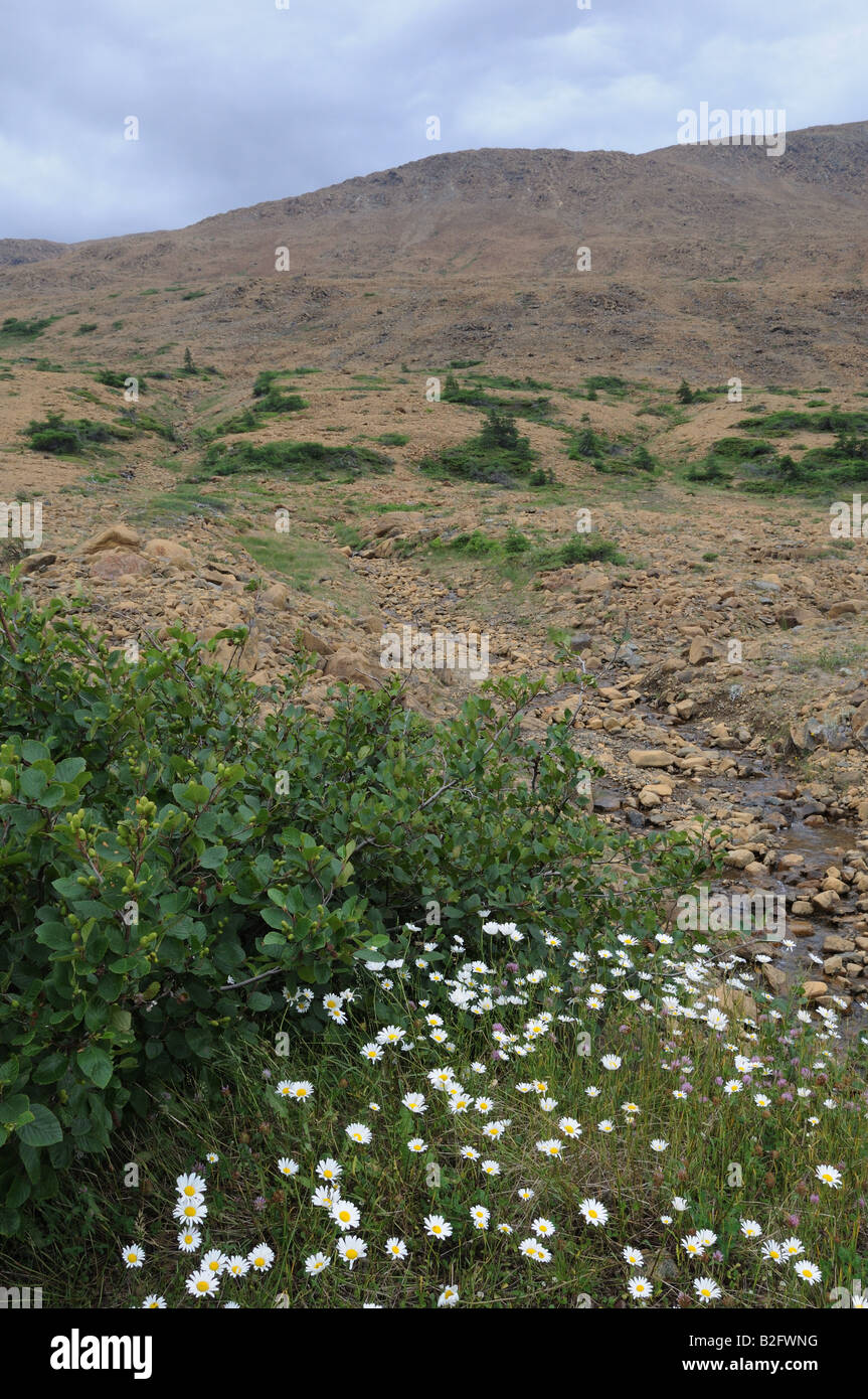 Tablelands in Gros Morne National Park, Newfoundland, are portions of ...