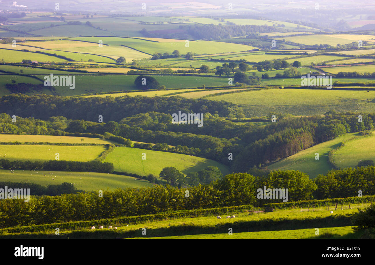 Exmoor national park hi-res stock photography and images - Alamy