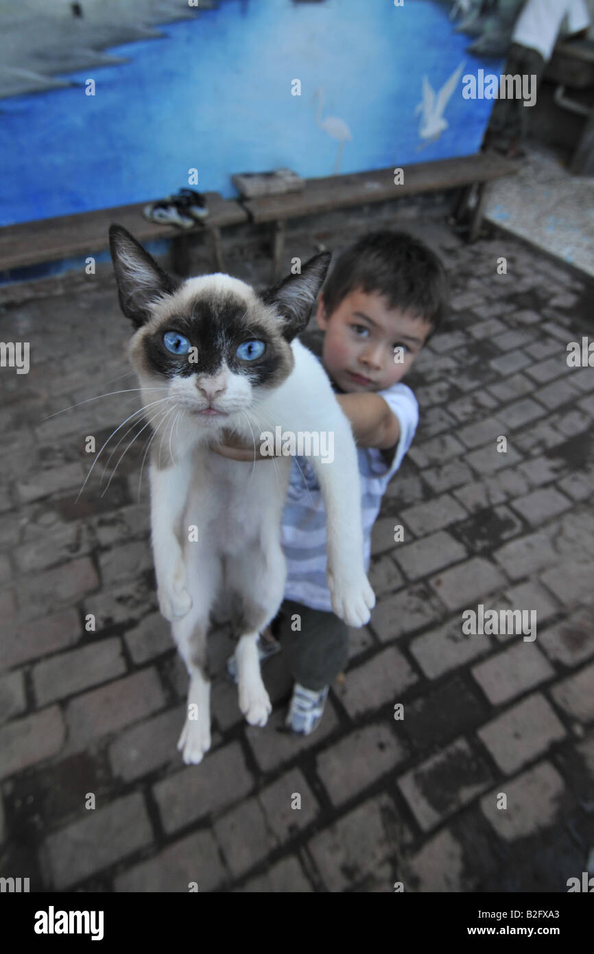Child siamese cat hi-res stock photography and images - Alamy