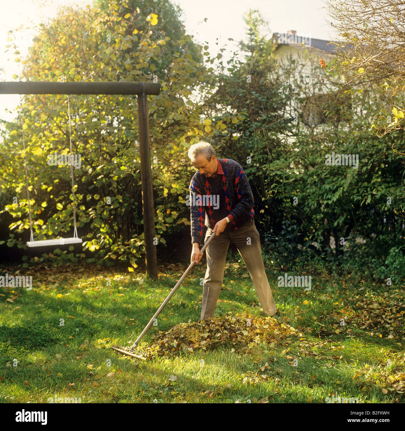 man - raking leaves together Stock Photo - Alamy