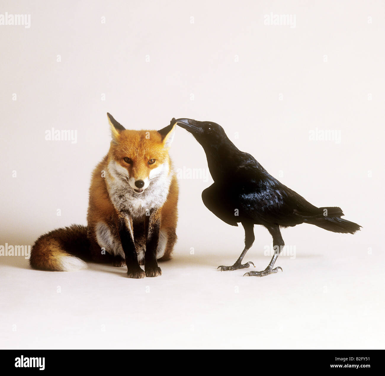 The Fox And Crow