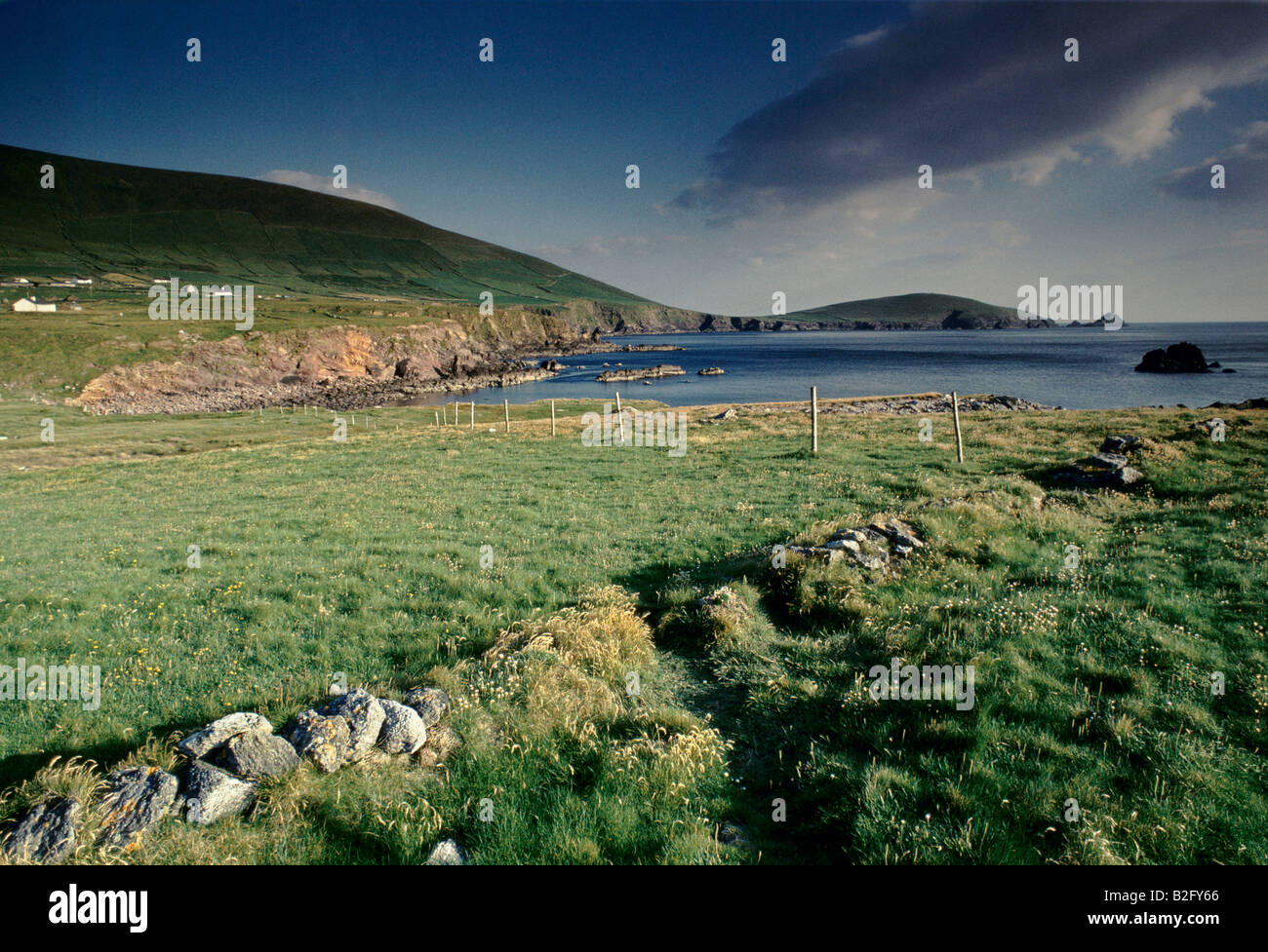 blasket islands, dingle peninsula, dunquin, ireland Stock Photo - Alamy