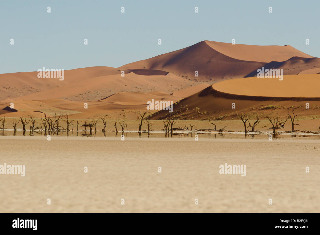 Scorched earth landscape hi-res stock photography and images - Alamy