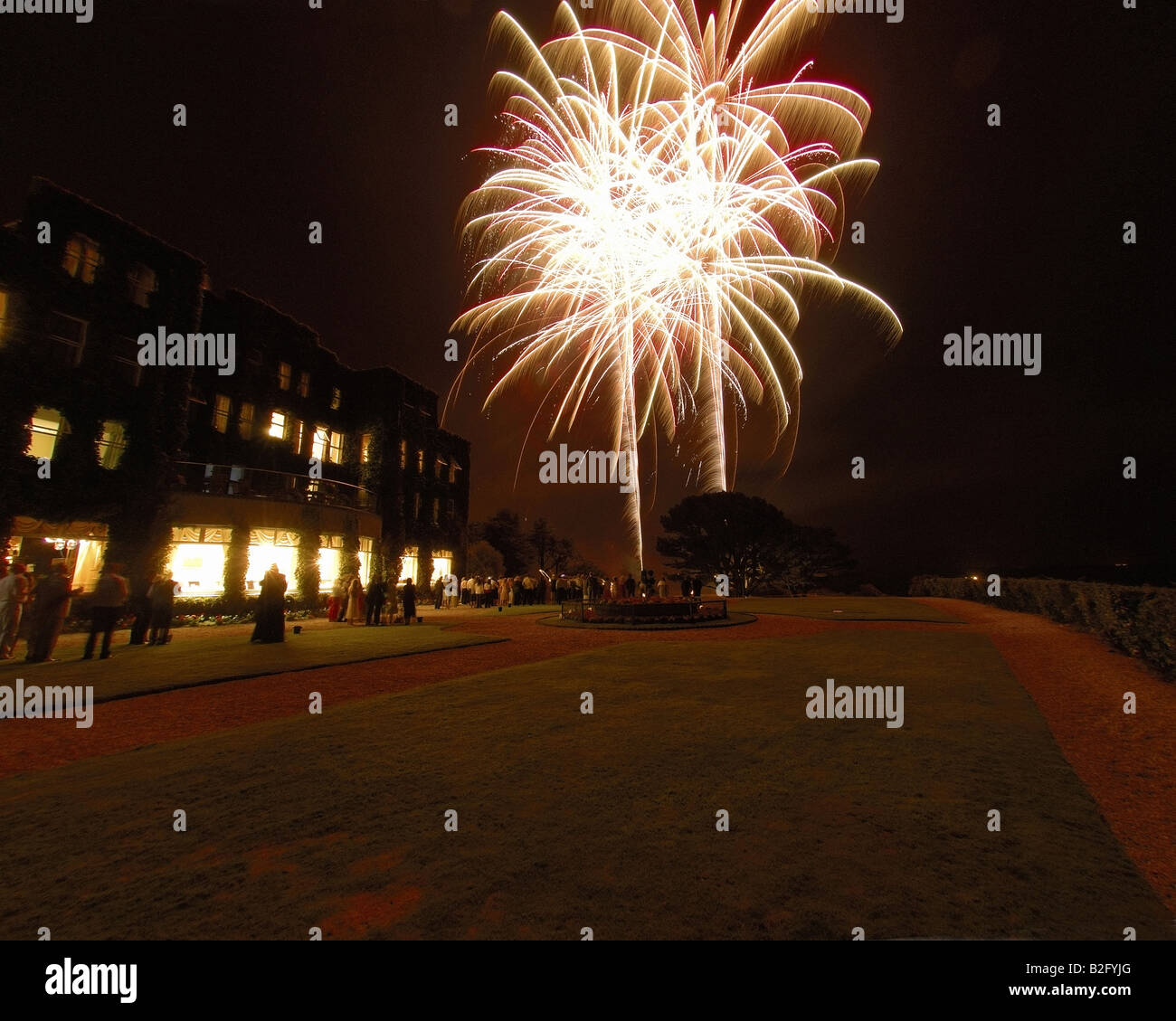 Crowd of people watching a firework display at a party Stock Photo - Alamy