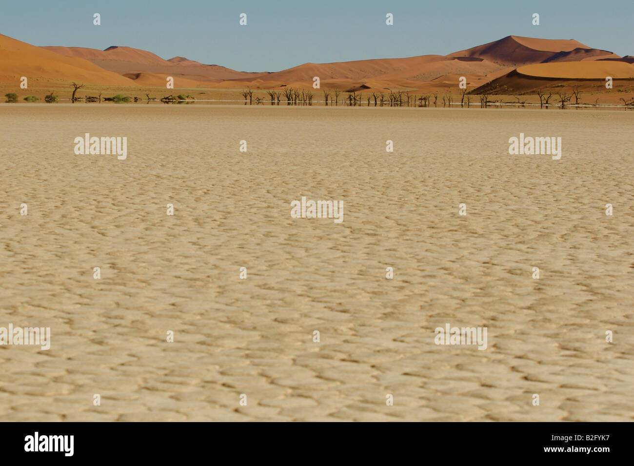 Scorched earth landscape hi-res stock photography and images - Alamy