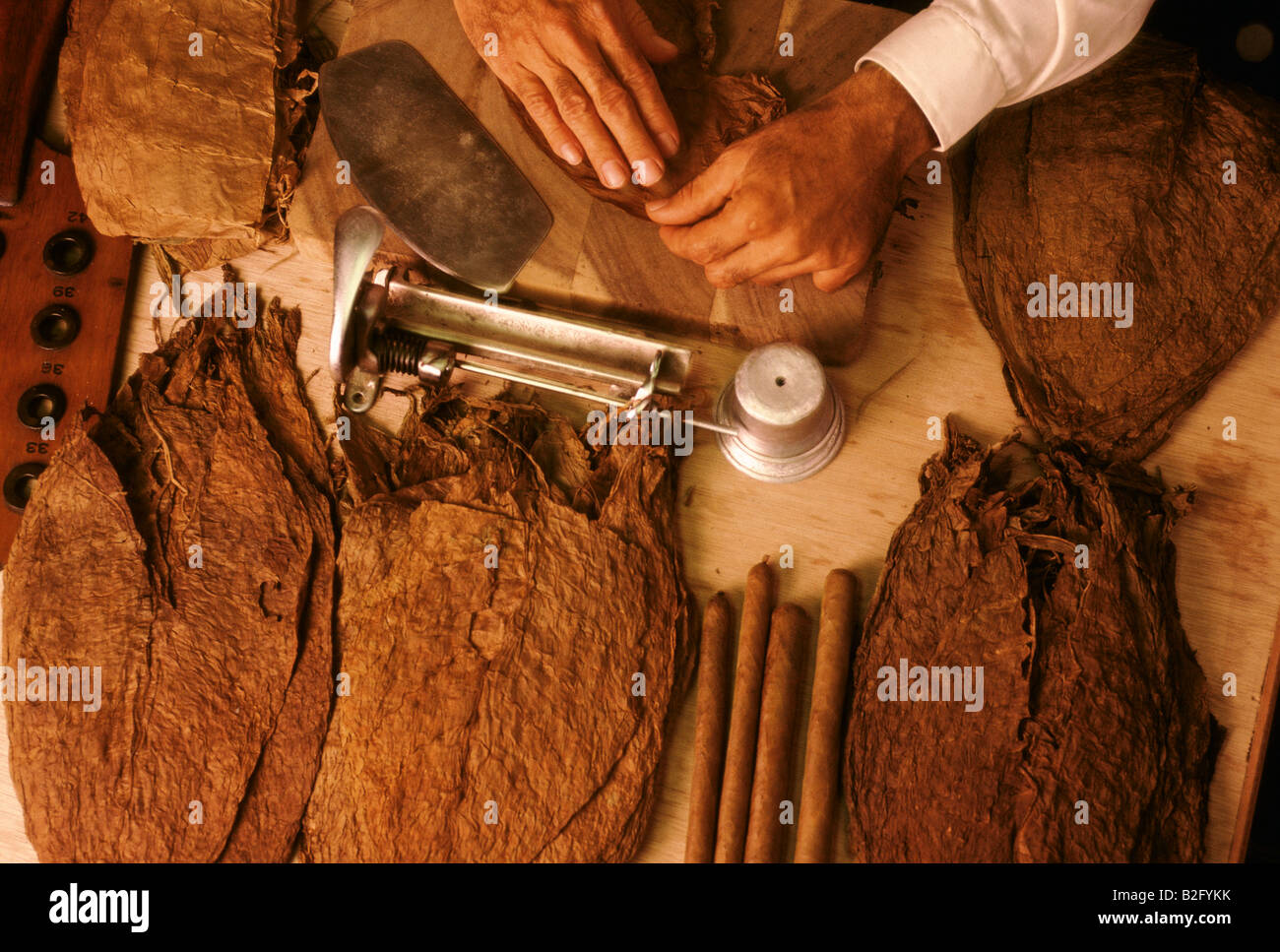 Cigar making machine hi-res stock photography and images - Alamy