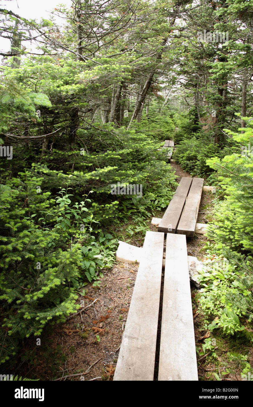 Puncheon High Resolution Stock Photography and Images - Alamy