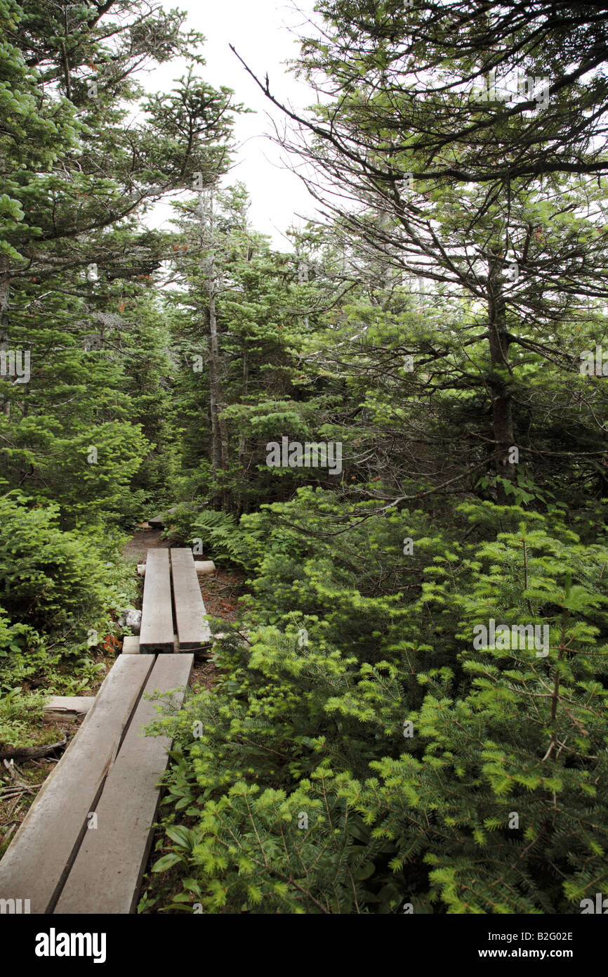 Puncheon High Resolution Stock Photography and Images - Alamy