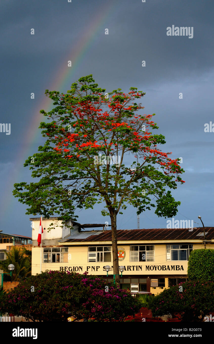 Moyobamba peru hi-res stock photography and images - Alamy