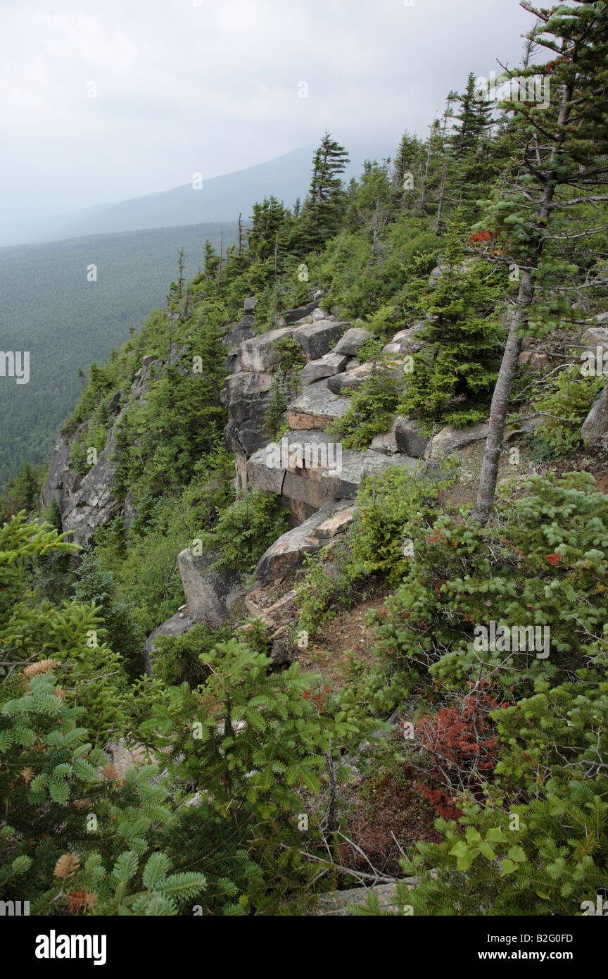 Appalachian Trail...White Mountains New Hampshire USA Stock Photo - Alamy