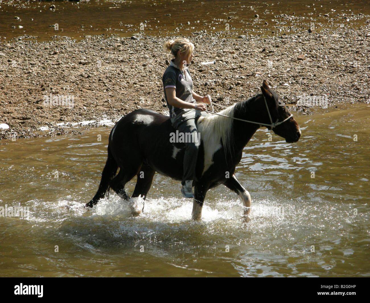 bareback female riding horse into the River Eden at the famous annual ...