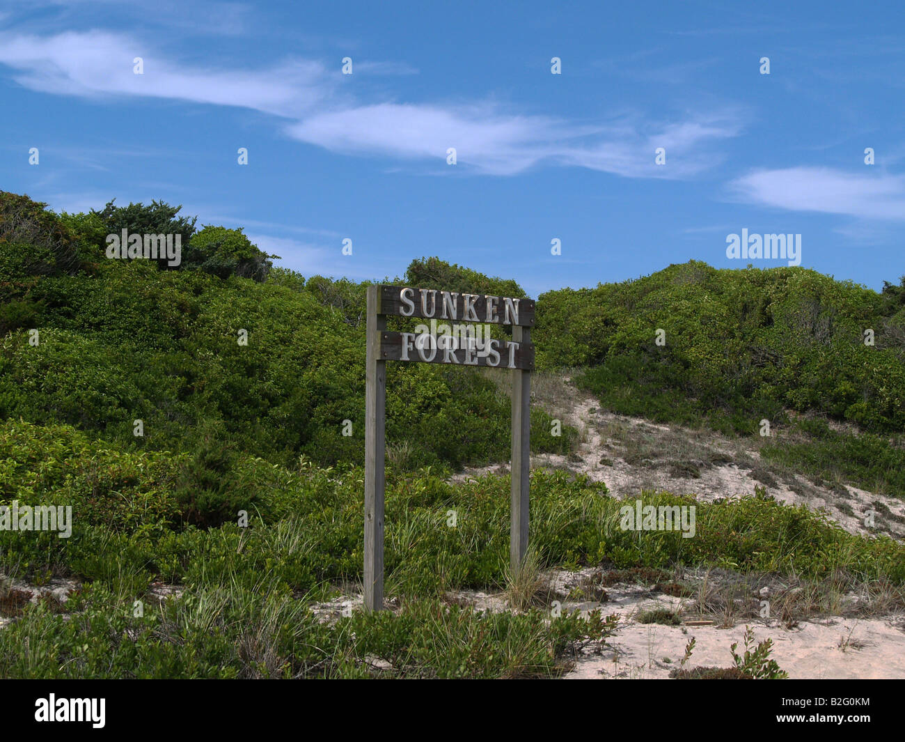 Sign marking an entrance to the Sunken Forest, a densely forested area ...