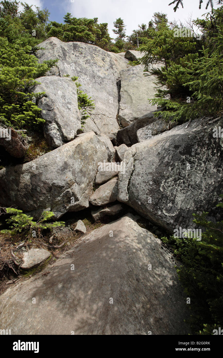 Appalachian Trail...White Mountains New Hampshire USA Stock Photo - Alamy