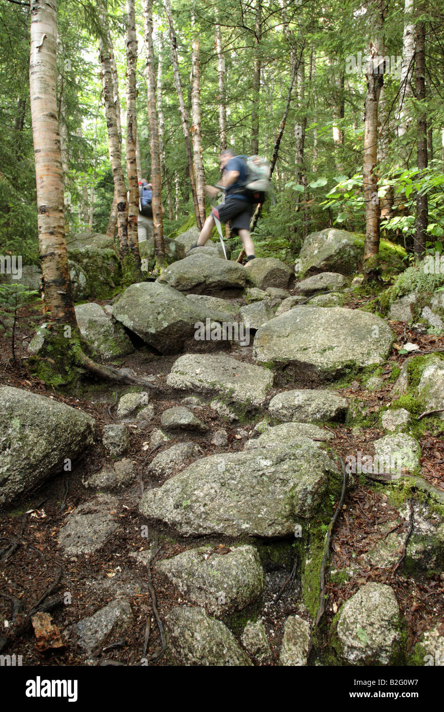 Appalachian Trail...White Mountains, New Hampshire Stock Photo - Alamy