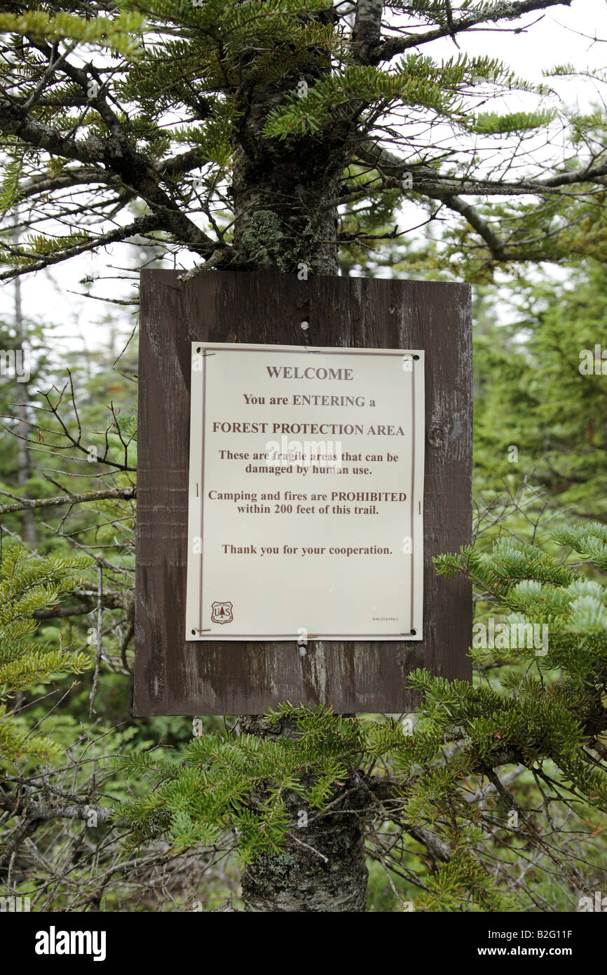 Forest Protection area on the Zeacliff Trail during the summer months ...