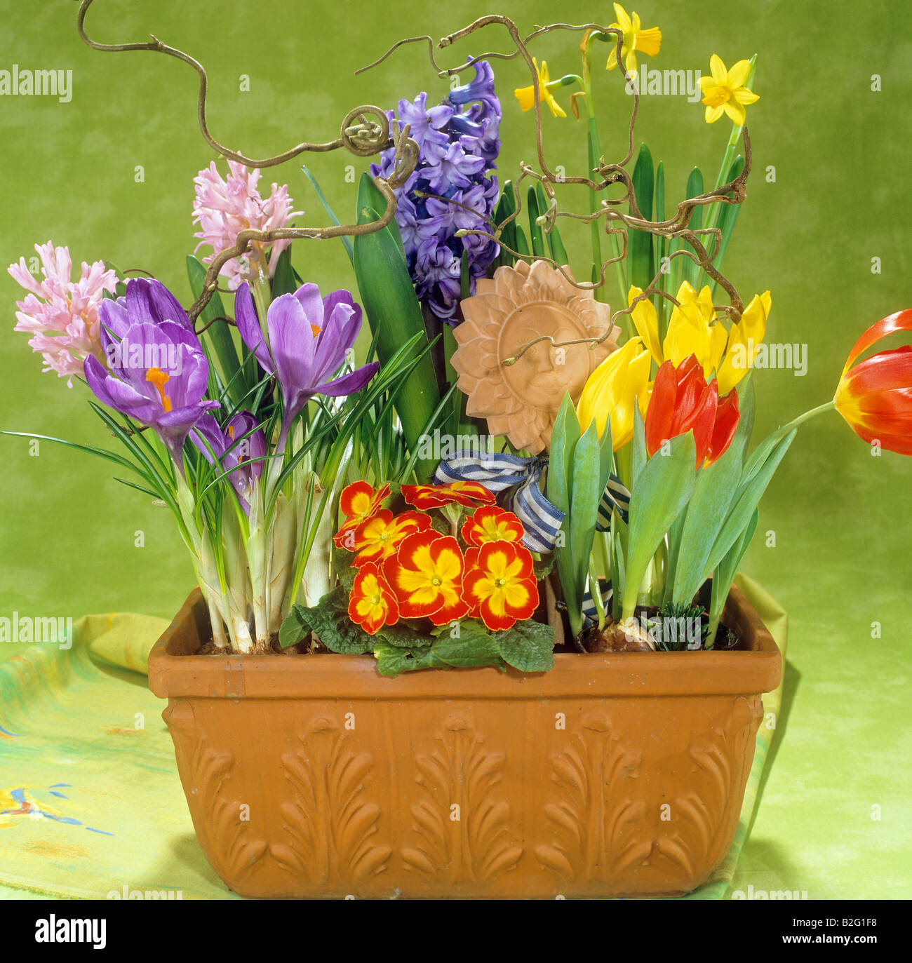 flowerpot with spring flowers Stock Photo - Alamy