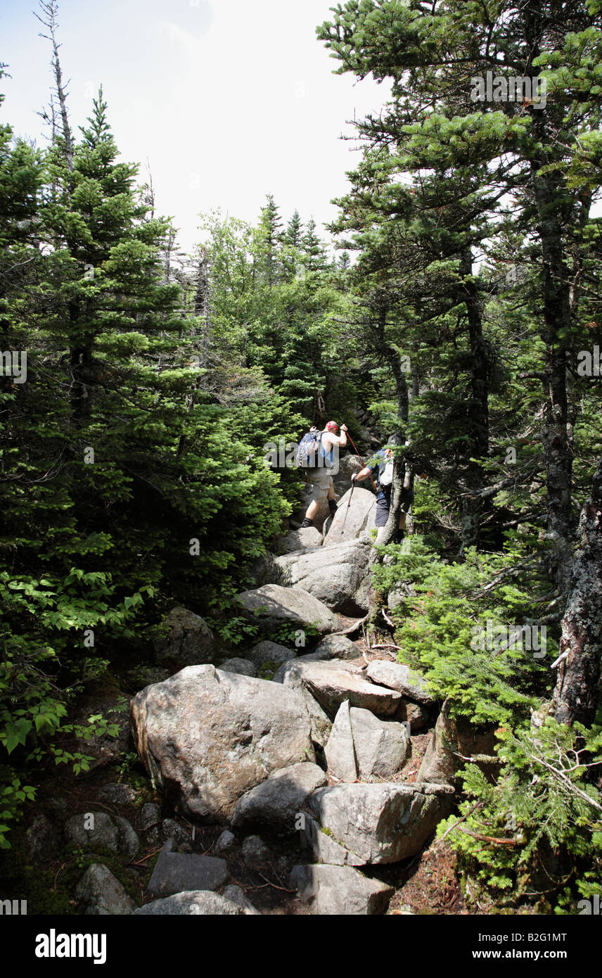 Appalachian Trail ...White Mountains New Hampshire USA Stock Photo - Alamy