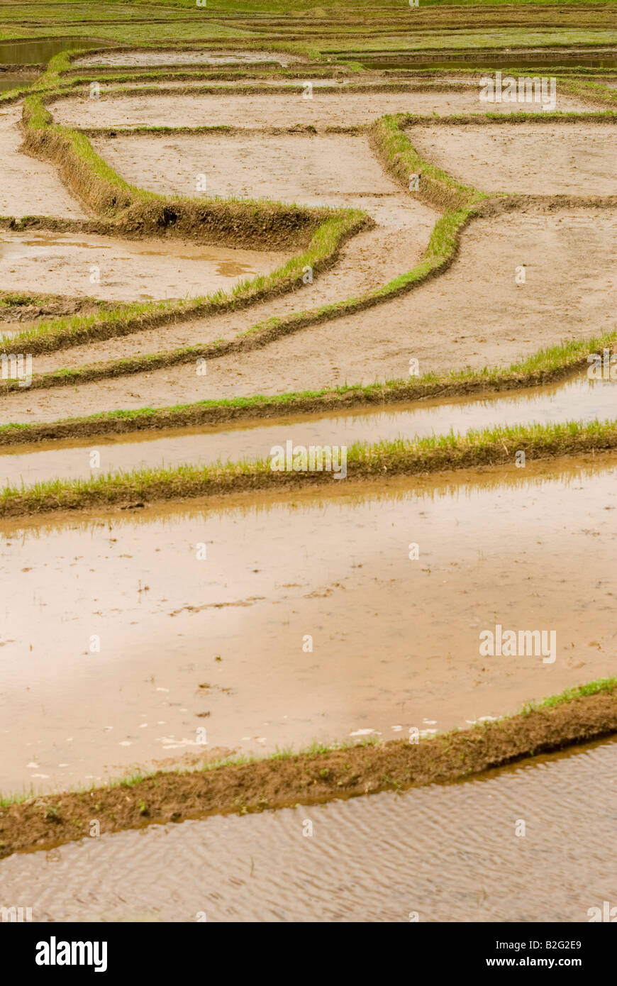 Tiered farming hi-res stock photography and images - Alamy