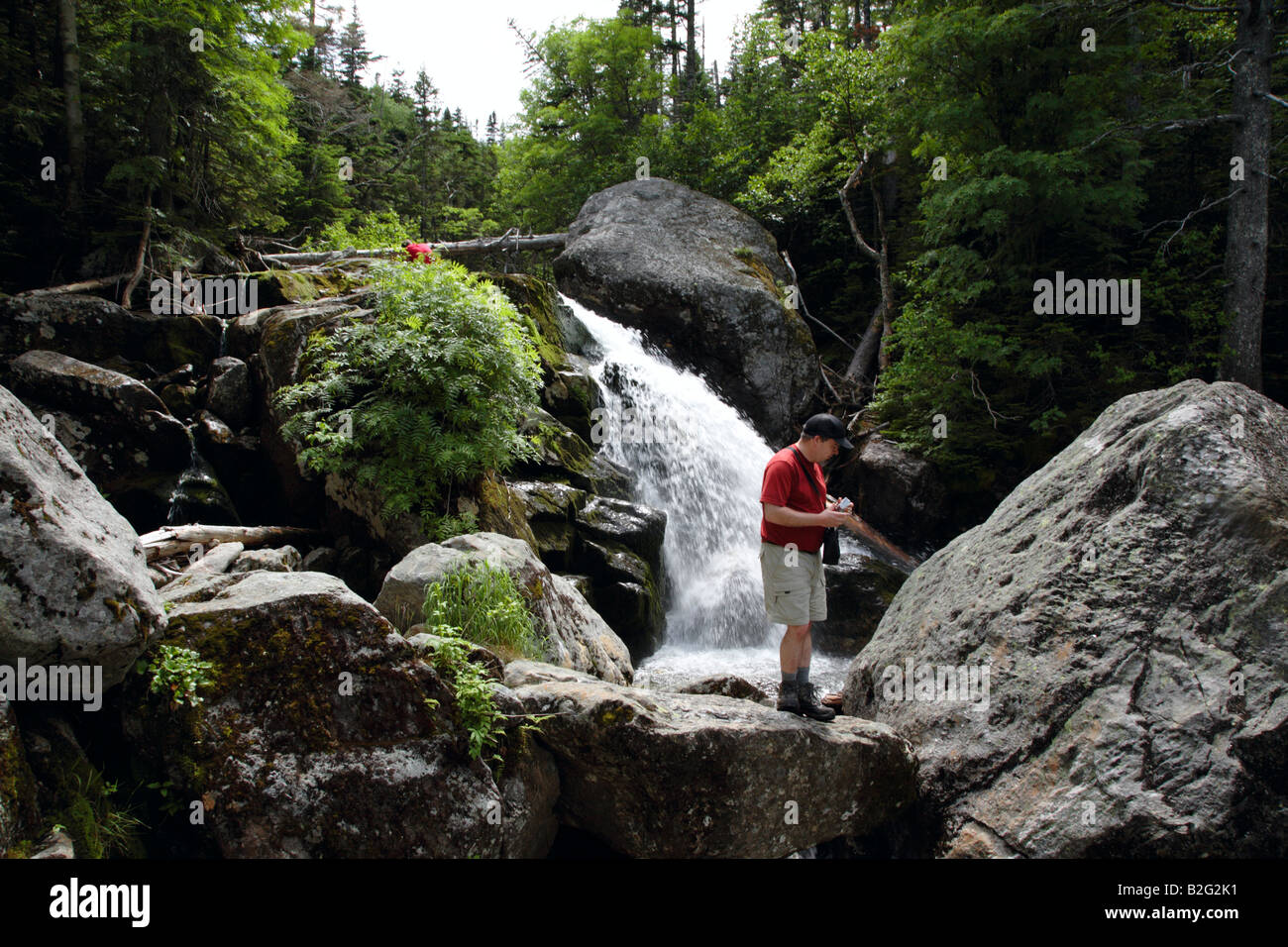 Great gulf wilderness hi-res stock photography and images - Alamy