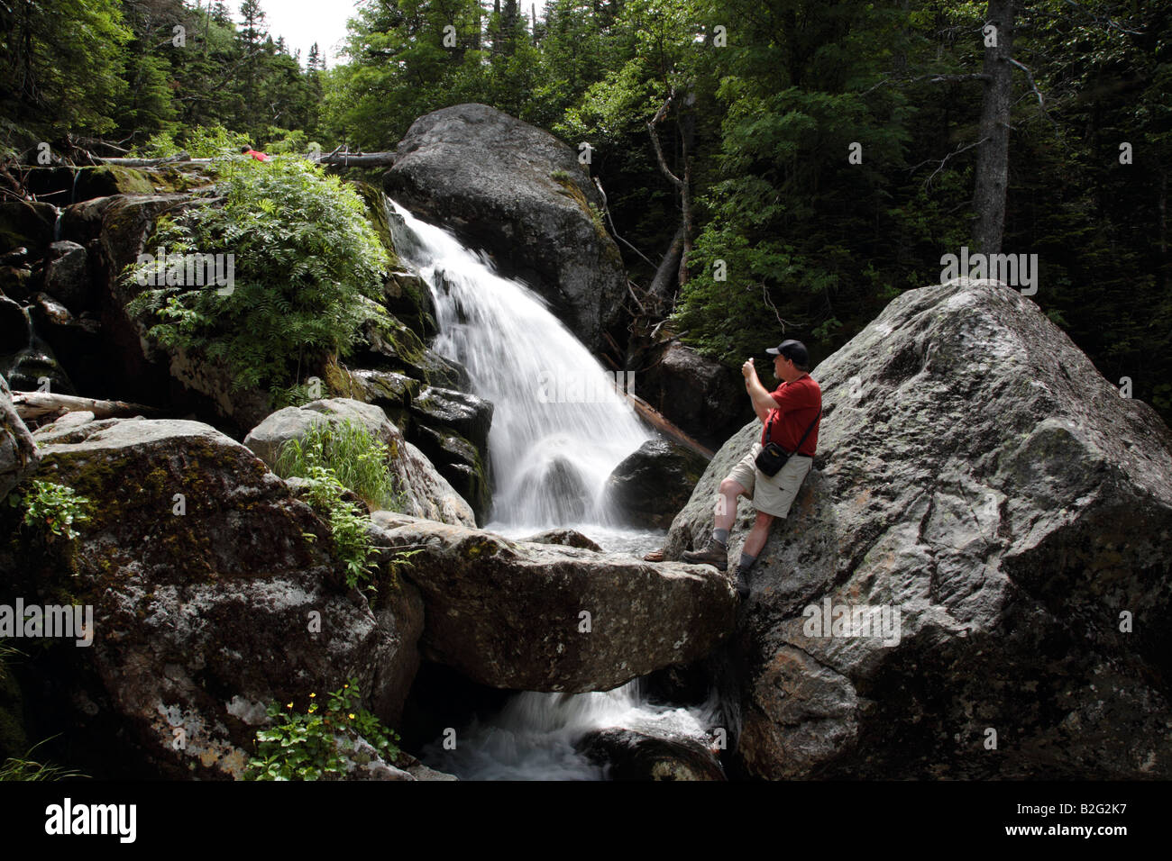 Great Gulf Wilderness,New Hampshire,White Mountains Stock Photo - Alamy