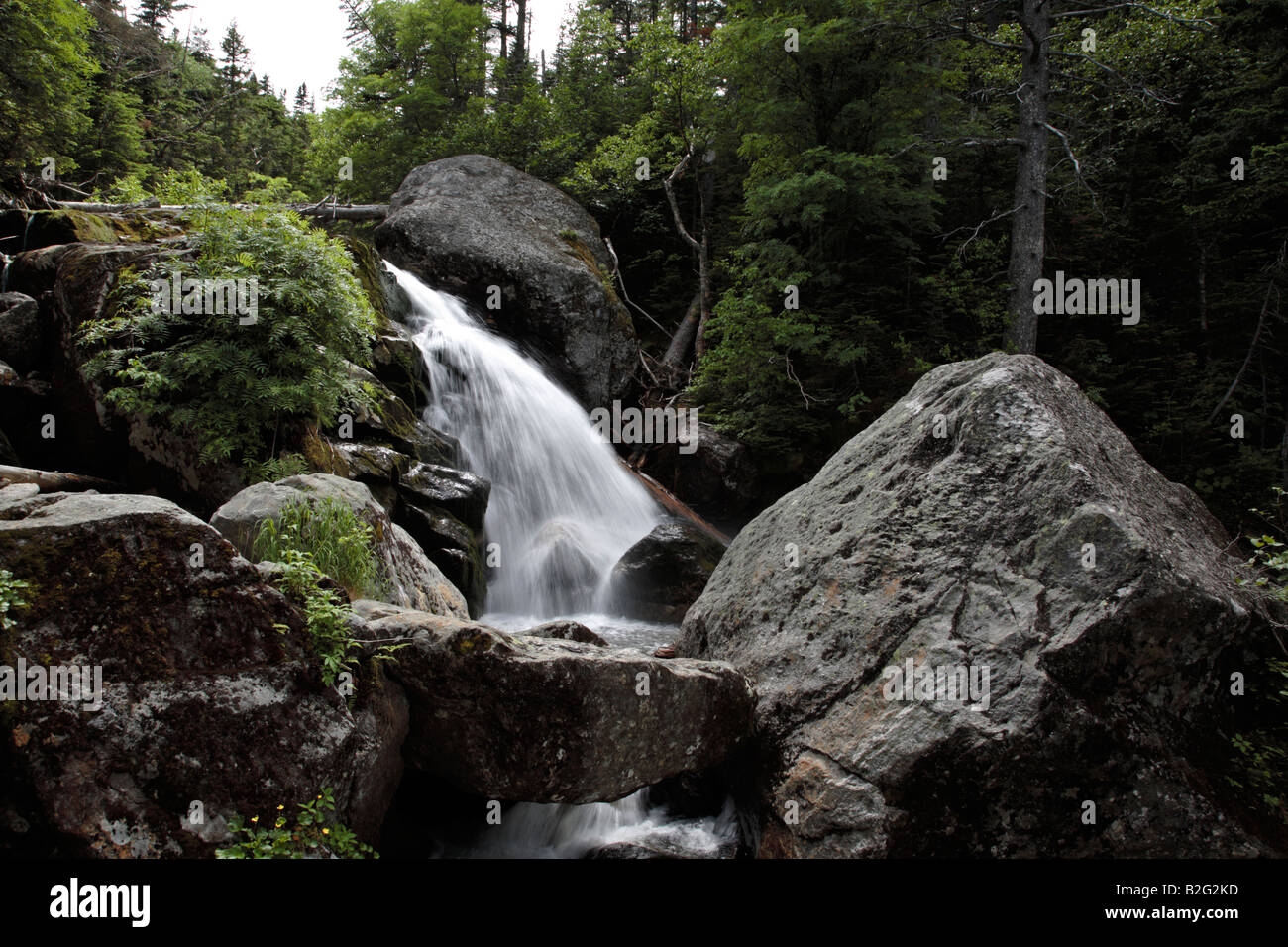 Great Gulf Wilderness,New Hampshire,White Mountains Stock Photo - Alamy