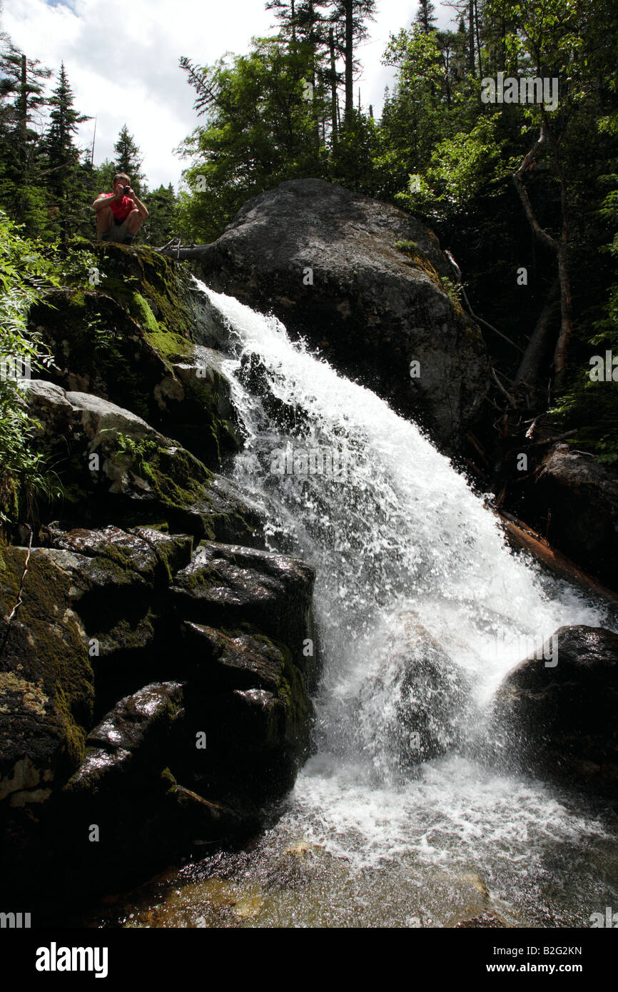 Great Gulf Wilderness in the White Mountains, New Hampshire USA Stock ...