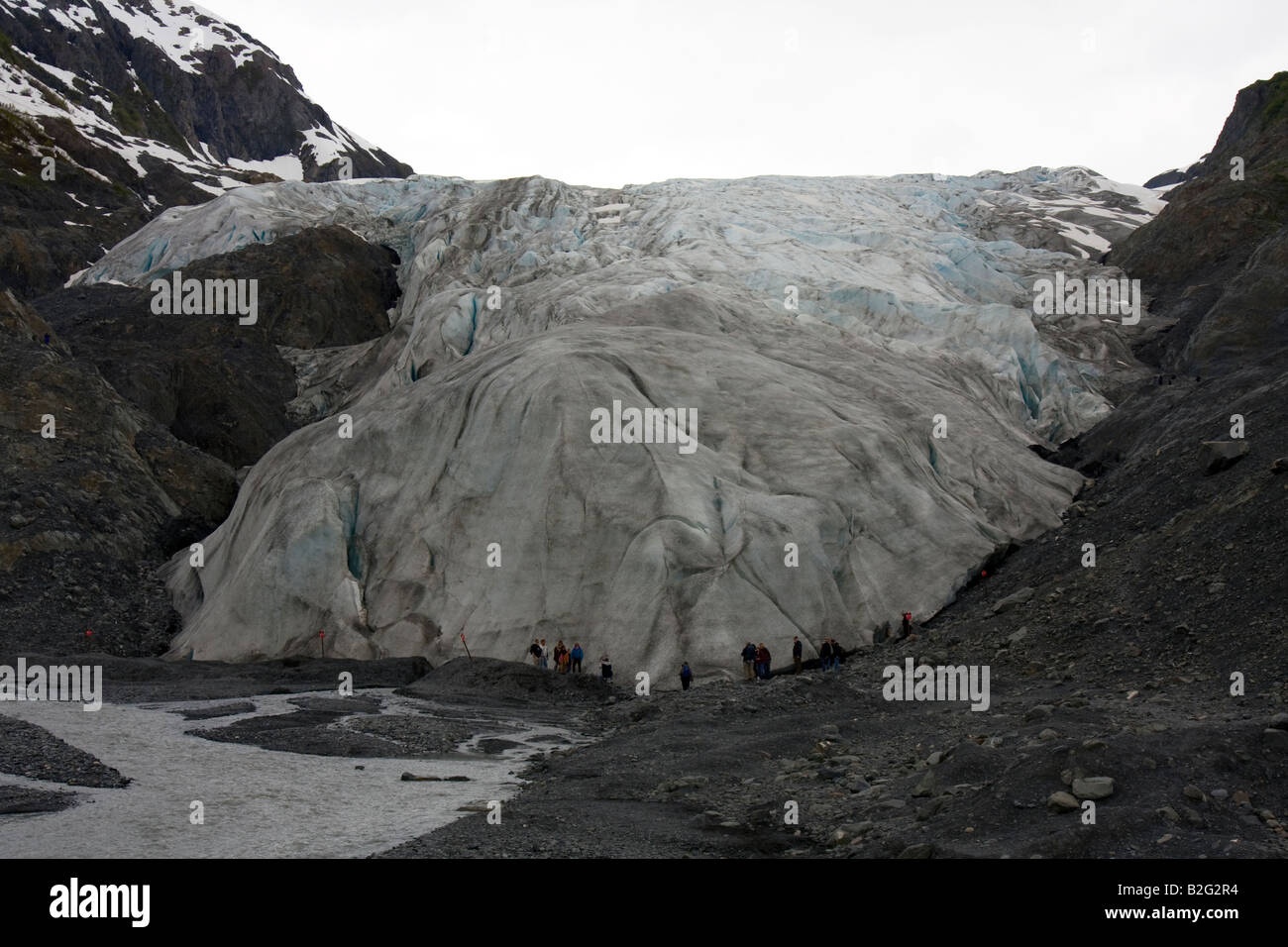 The front face of Exit Glacier, part of the harding Icefield, within ...
