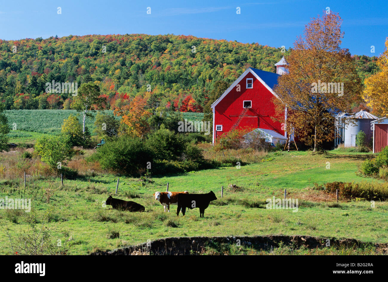 Annapolis river landscape hi-res stock photography and images - Alamy