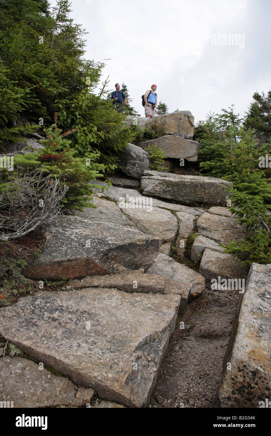 Appalachian Trail...White Mountains New Hampshire USA Stock Photo - Alamy